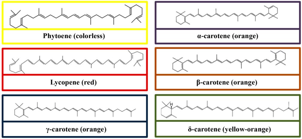 Carotenoids and Skin Health | Dr. Greg Maguire's Skin Care